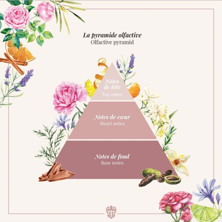 La Pyramide olfactive, c'est quoi ? - JannahMusc.com